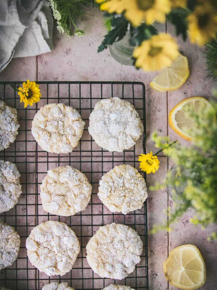 Easy Thin Mints Recipe – Garlic Head