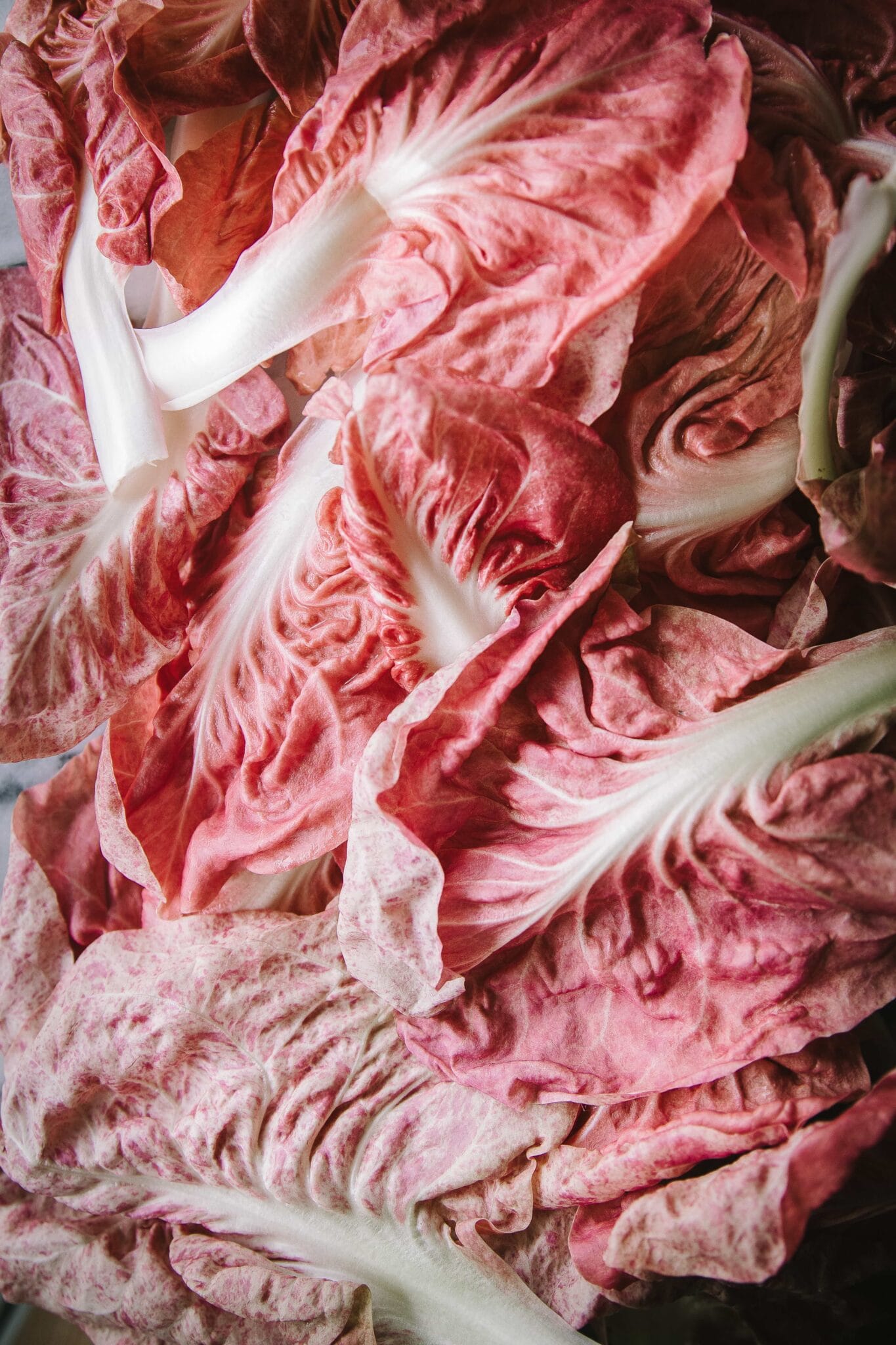 Cinnamon Maple Squash & Pink Radicchio Salad – Garlic Head